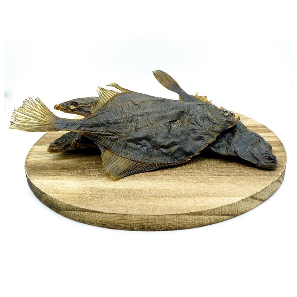 Ecostar Flunder | frups.lu